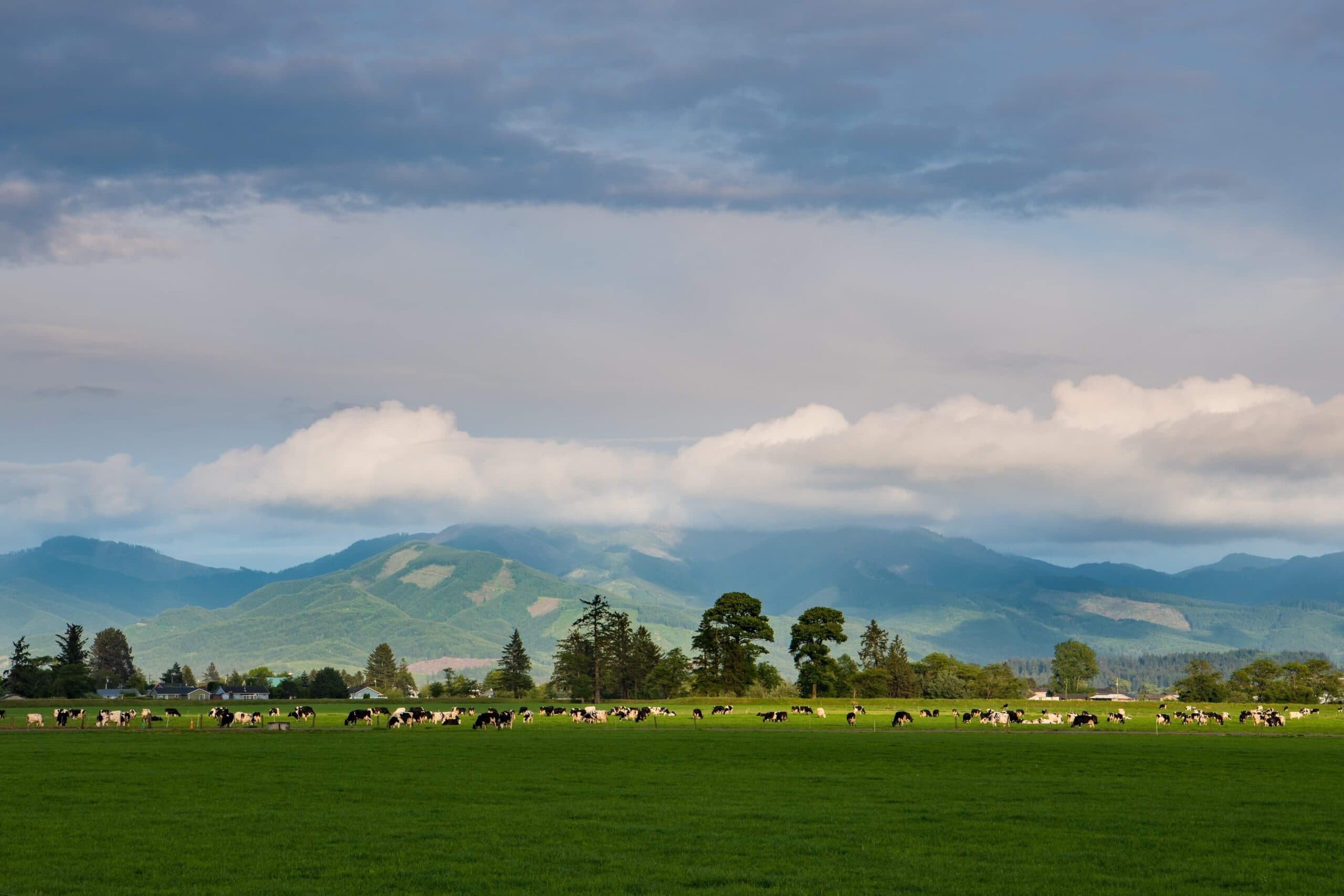 12 Best Small Towns in Oregon for Country Living
