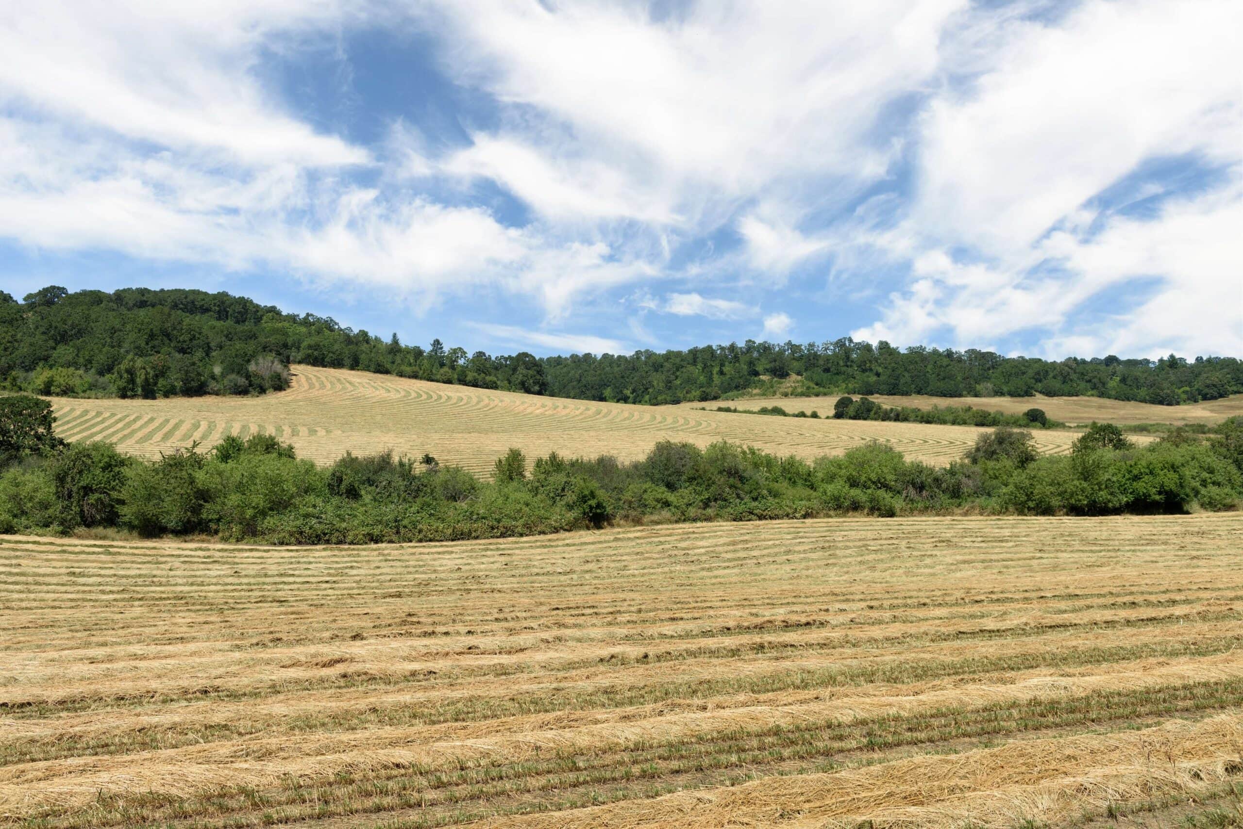 15 Most Profitable Crops in Oregon for Farmers and Investors